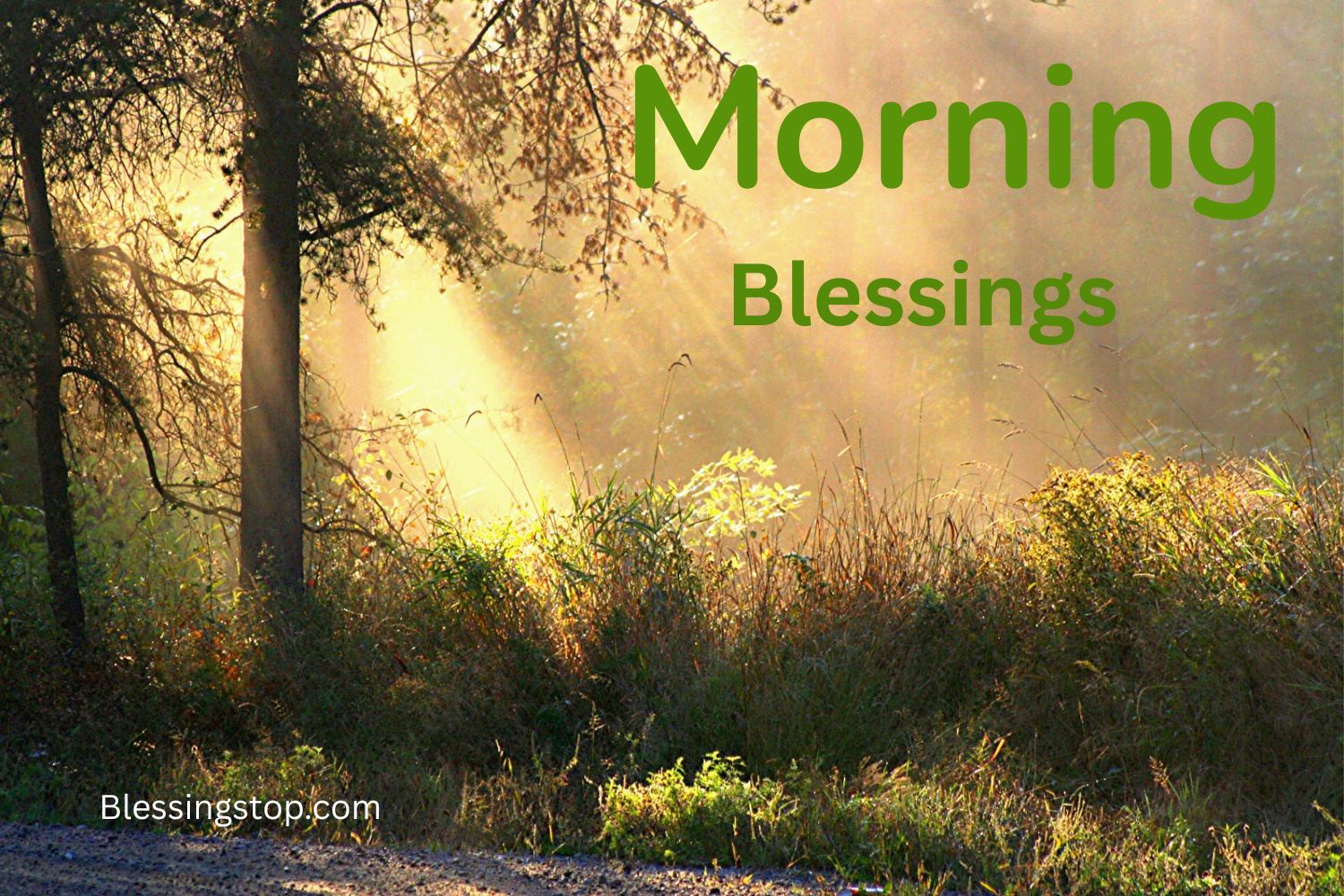 “1000+ Morning Blessings: Start Your Day with Positivity 🌼🌼”