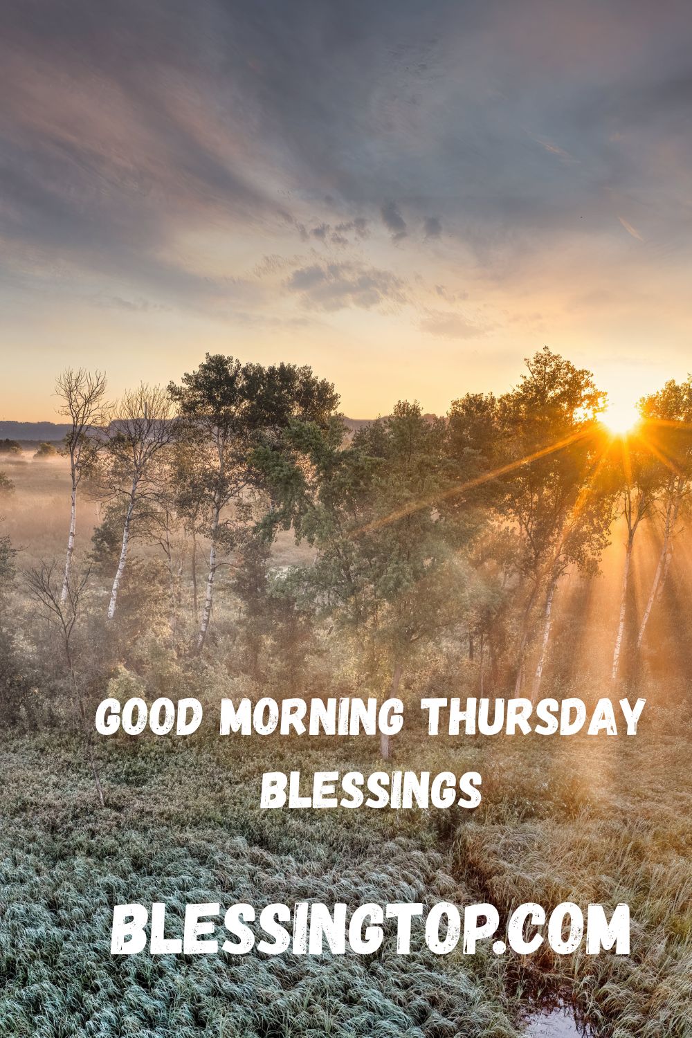 23+ Good Morning Thursday Blessings: Heartfelt Wishes, Prayers & Tips ...